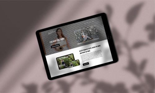 Colorado Creative Series: Maddy Beard | AIGA Colorado